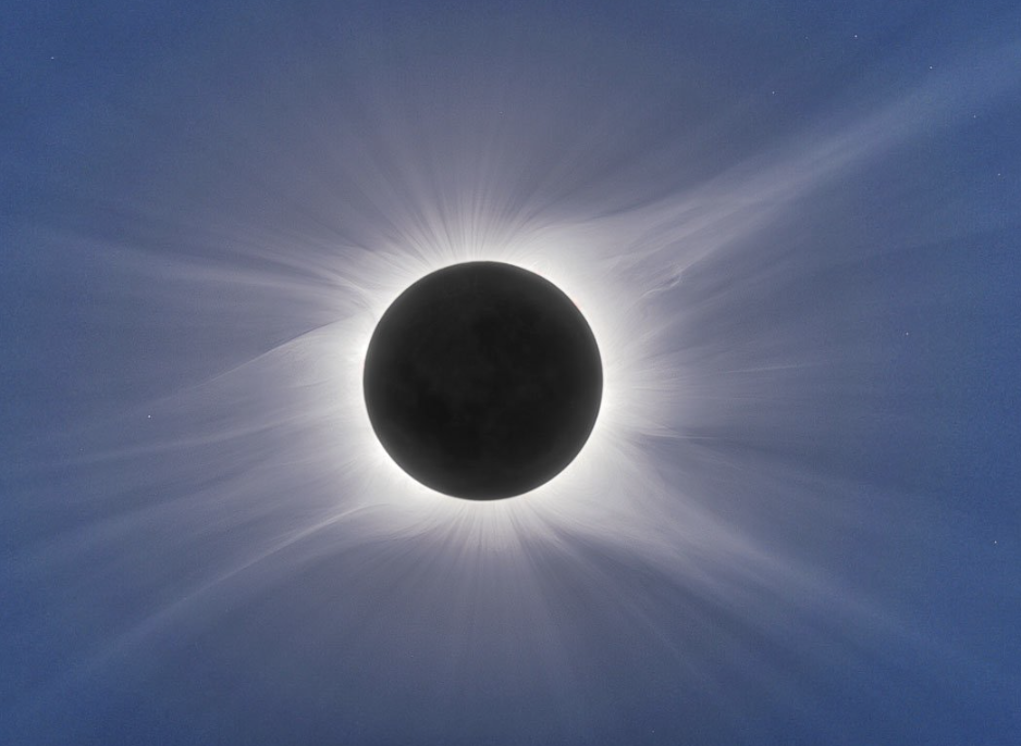 How Did Animals React to the Eclipse? - National Mouth